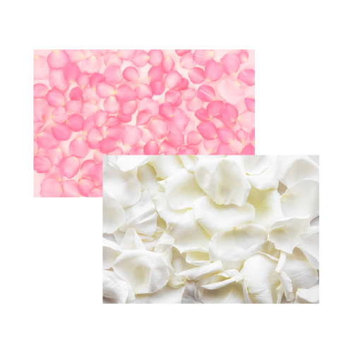 White Rose Petals Png